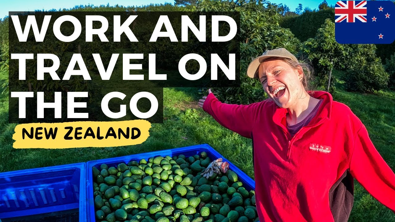 The Reality Of Working In New Zealand, HOW DIFFICULT IS IT?? 🇳🇿 - YouTube