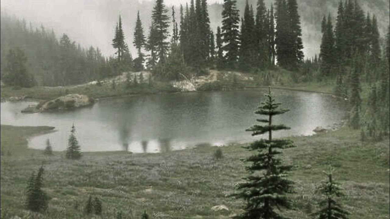 taylor swift - the lakes [1 HOUR LOOP] - YouTube