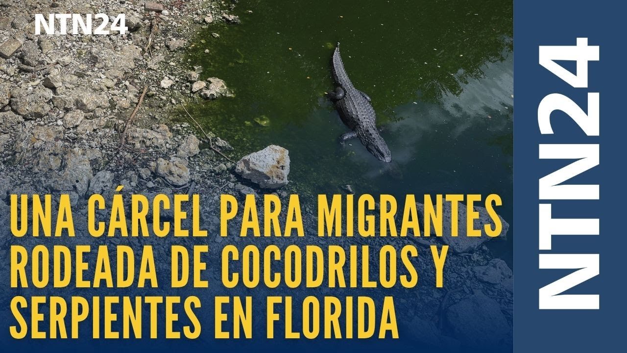 Ya se construye la temida cárcel para migrantes “Alligator Alcatraz” en ...