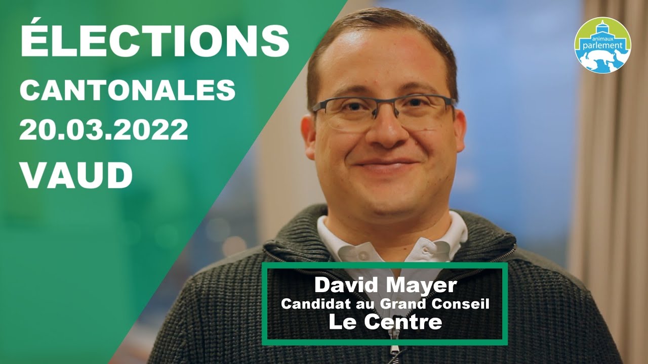 Interview de David Mayer (Le Centre) - YouTube