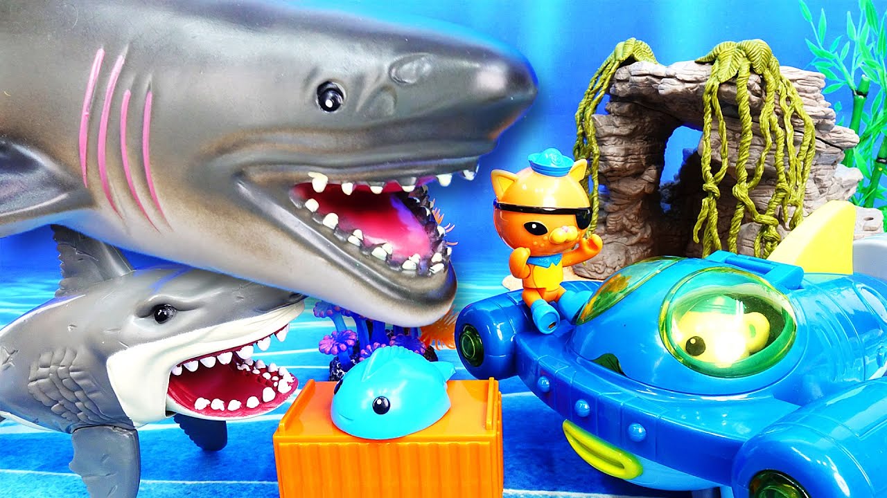 Mutant Shark Alert~! Go Octonauts Gup Q, Rescue Sea Creatures #토이마트TV ...