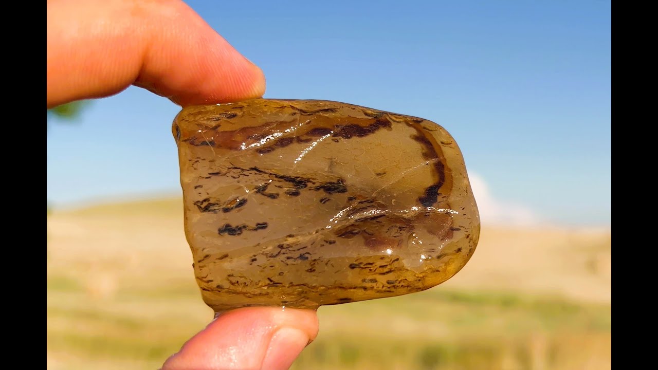 Yellowstone River Agate Hunting! - YouTube