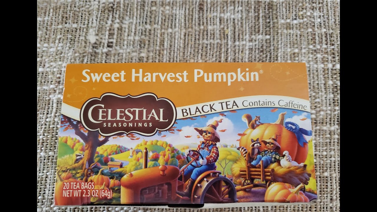 Tea Reviews - Celestial Sweet Harvest Pumpkin - YouTube