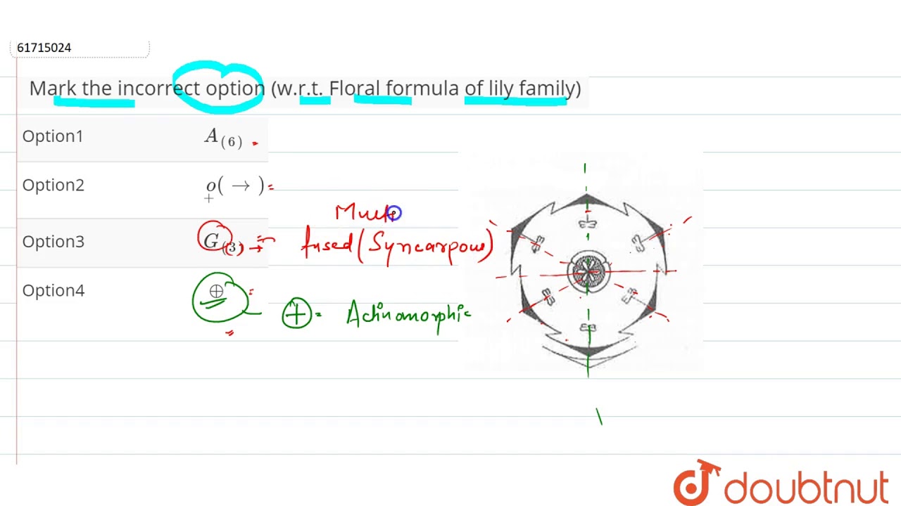 Mark the incorrect option (w.r.t. Floral formula of lily family) - YouTube