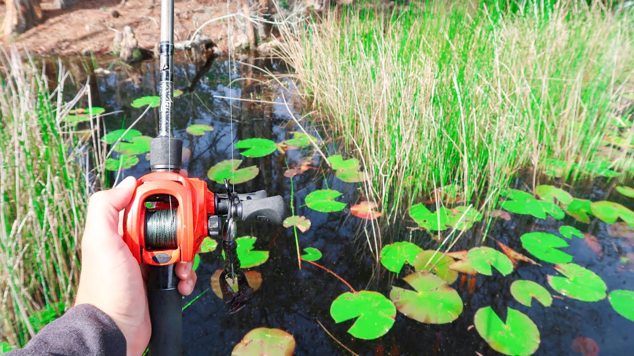Topwater FROG gets CRUSHED by GIANT Bass While Fishing (20lb Bag) - YouTube