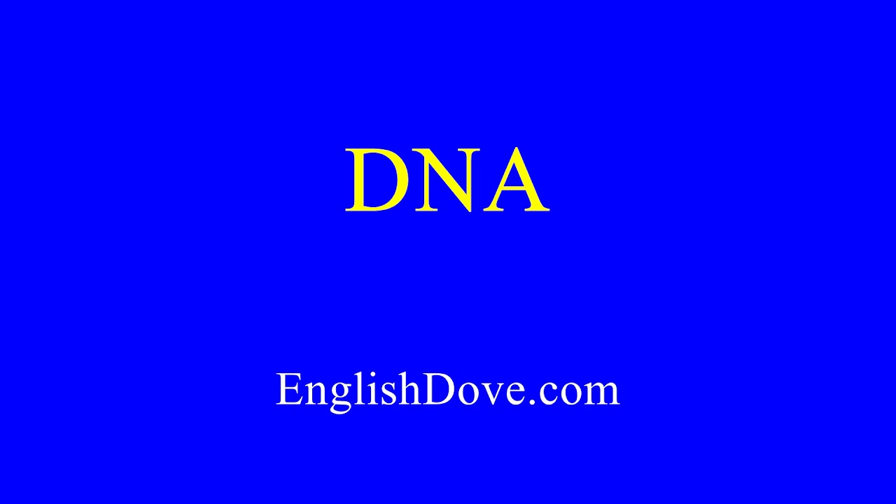How To Pronounce DNA In American English YouTube how-to-pronounce-dna-in-american-english-youtube