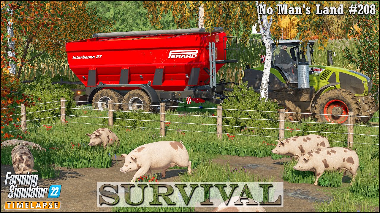 Survival in No Man's Land Ep.208🔹Finishing Sowing Wheat & Rolling ...