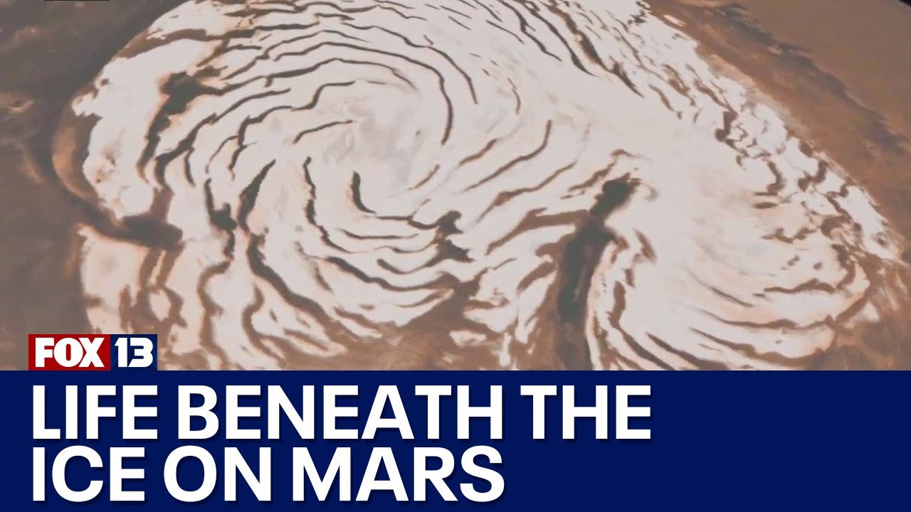 Searching for life beneath the ice on Mars | FOX 13 Seattle - YouTube
