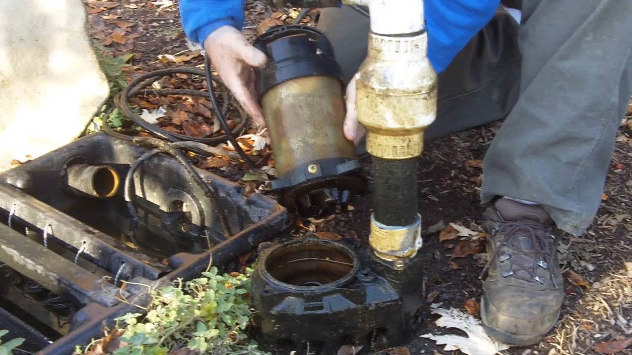 Cool Ponds - Cleaning Pumps Tutorial - YouTube
