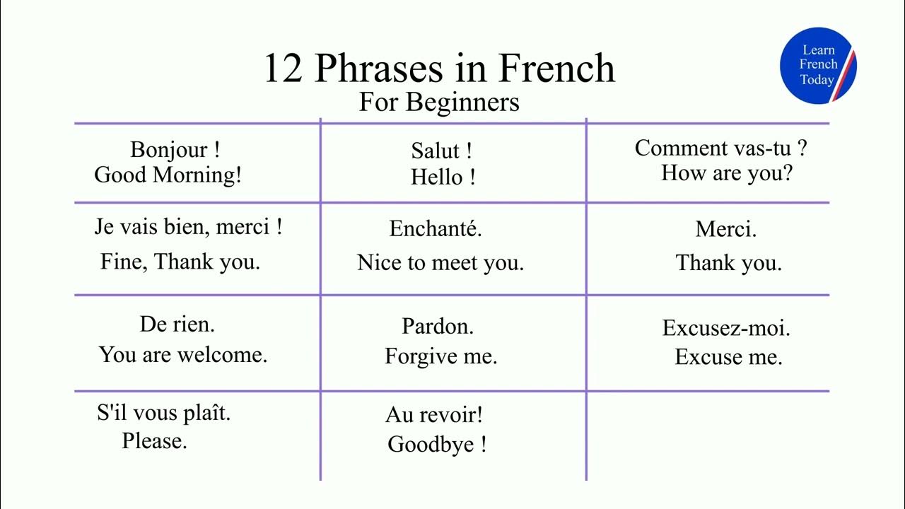 12 Phrases in French for Beginners Learn French - YouTube