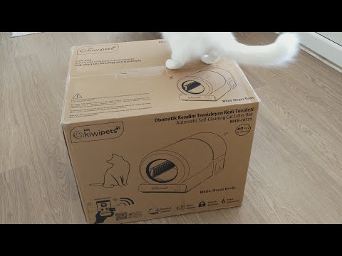 Kiwi Kendini Temizleyen Kedi Tuvaleti 