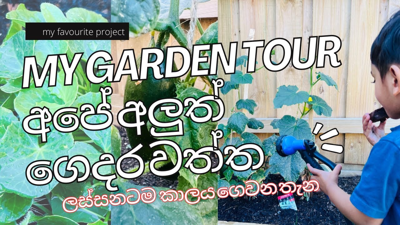 My Garden Tour | New Beginning | most awaited tour - YouTube