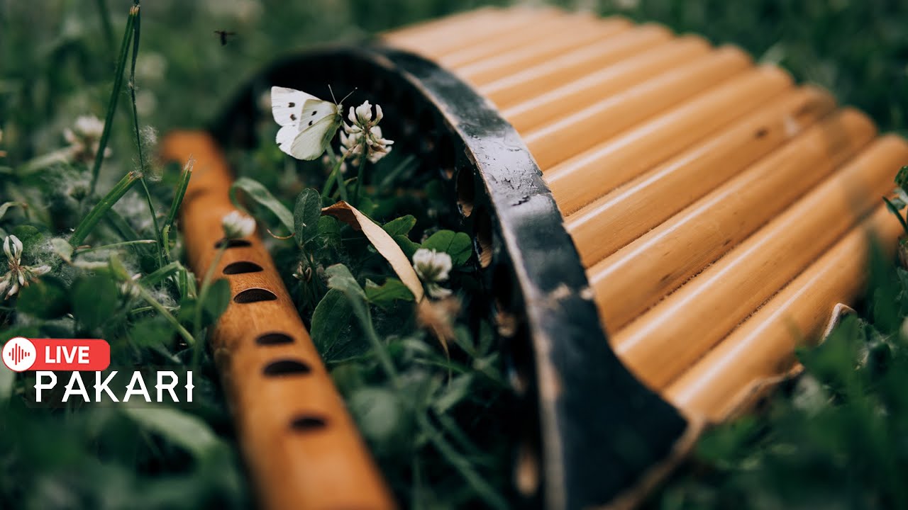 Pakari - Native music and beautiful nature 🌿 - YouTube
