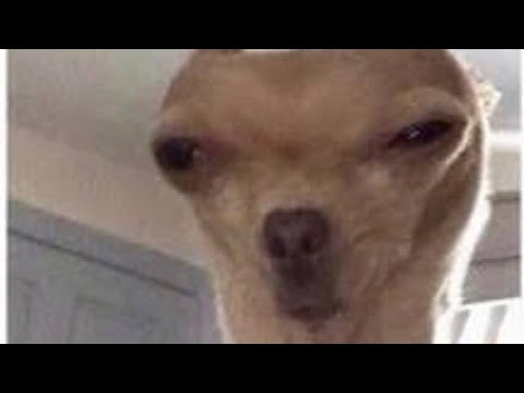 The many faces of Danny Gonzalez and Debby Ryan - YouTube