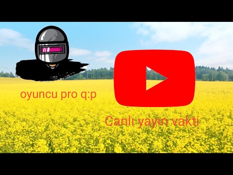 agalar ve knk videoları ve kanalları