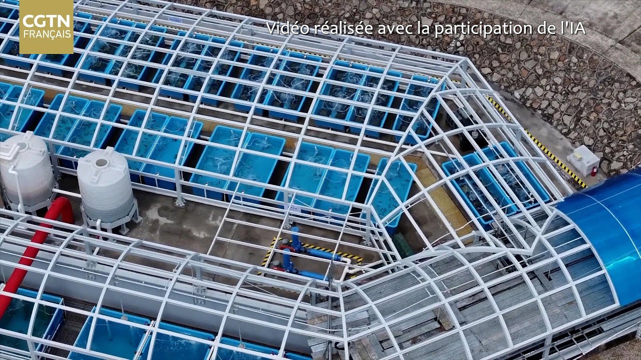 Terminal GNL de Guangdong-Dapeng utilise « l’énergie froide » pour ...