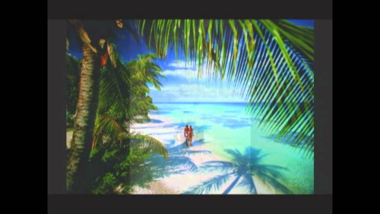 She's Single Again - YouTube