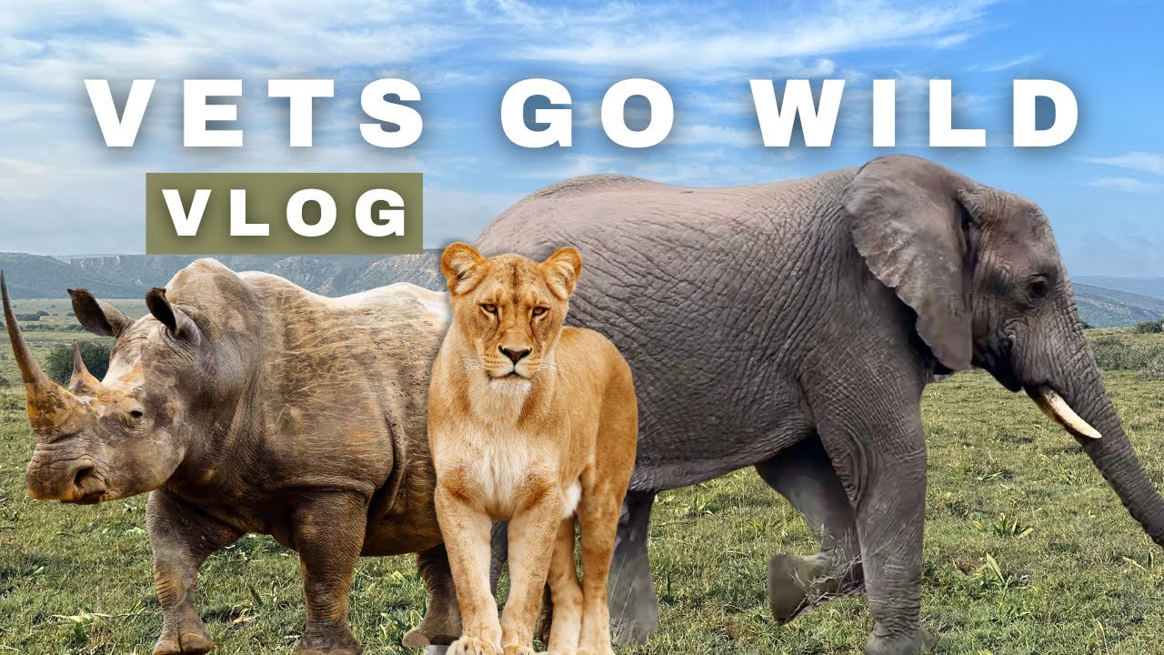 Vets Go Wild 2024 - YouTube