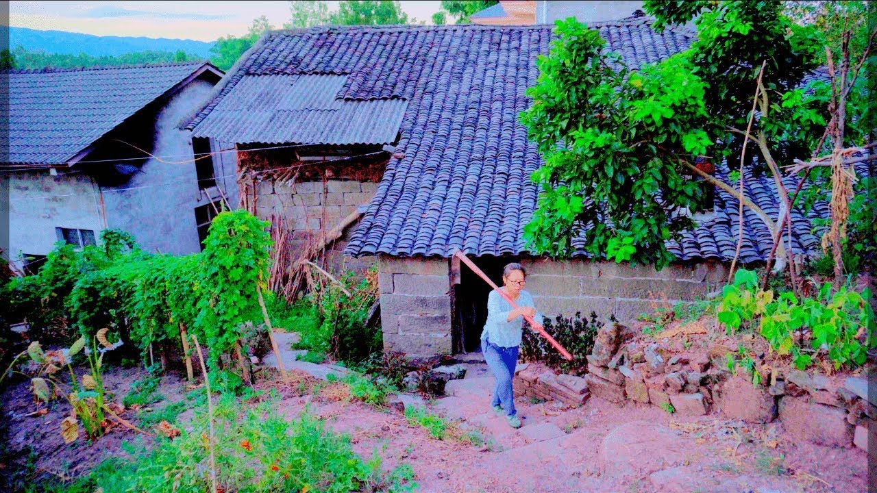 The Forgotten Village in China during Rice Harvest | Raw country LIFE ...
