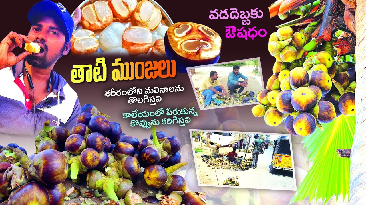 thati munjalu | thati munjalu benefits in telugu | pradeep thammadi ...