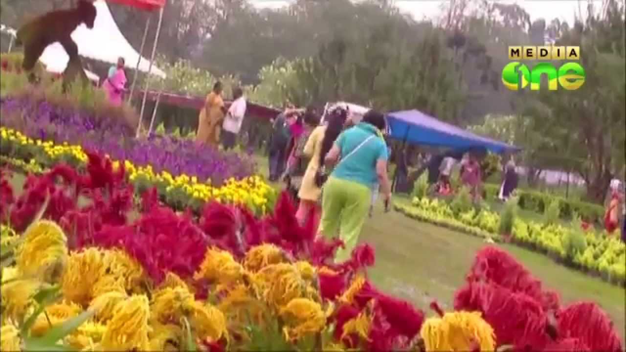 Munnar flower show begins - YouTube