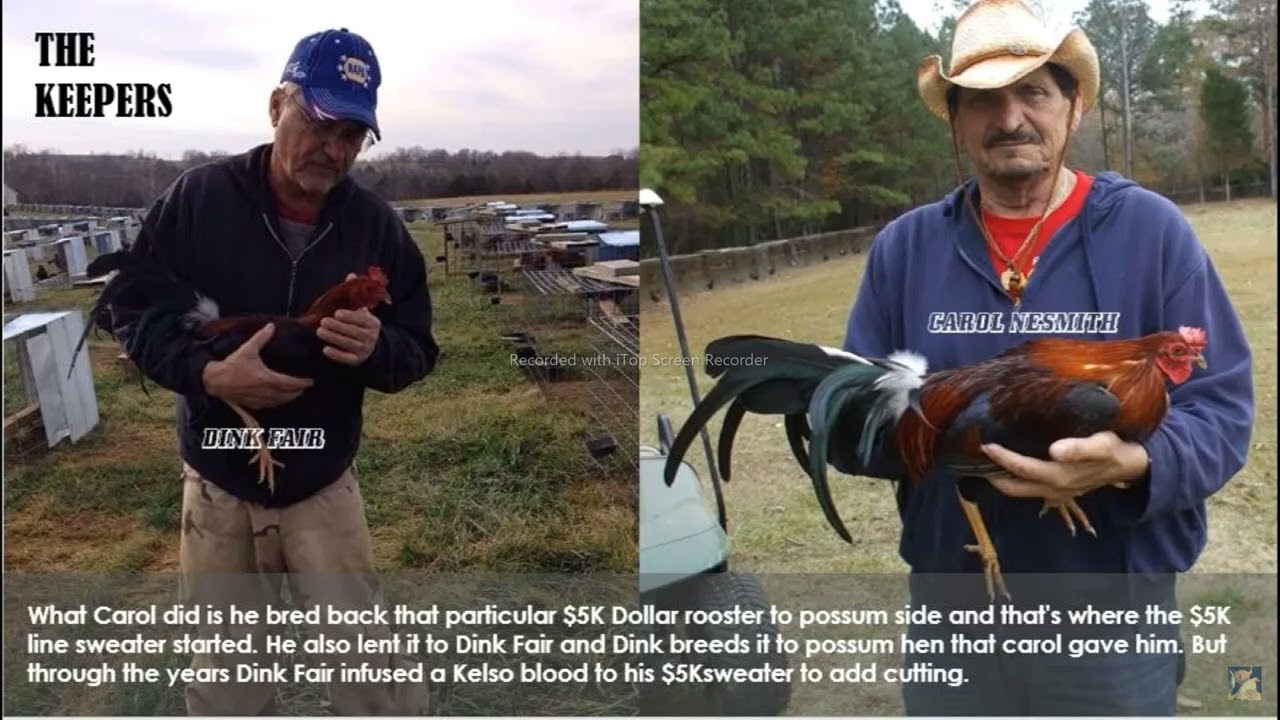 5k sweater, possum sweater, One of my favorite Bloodline #engrikeng # ...