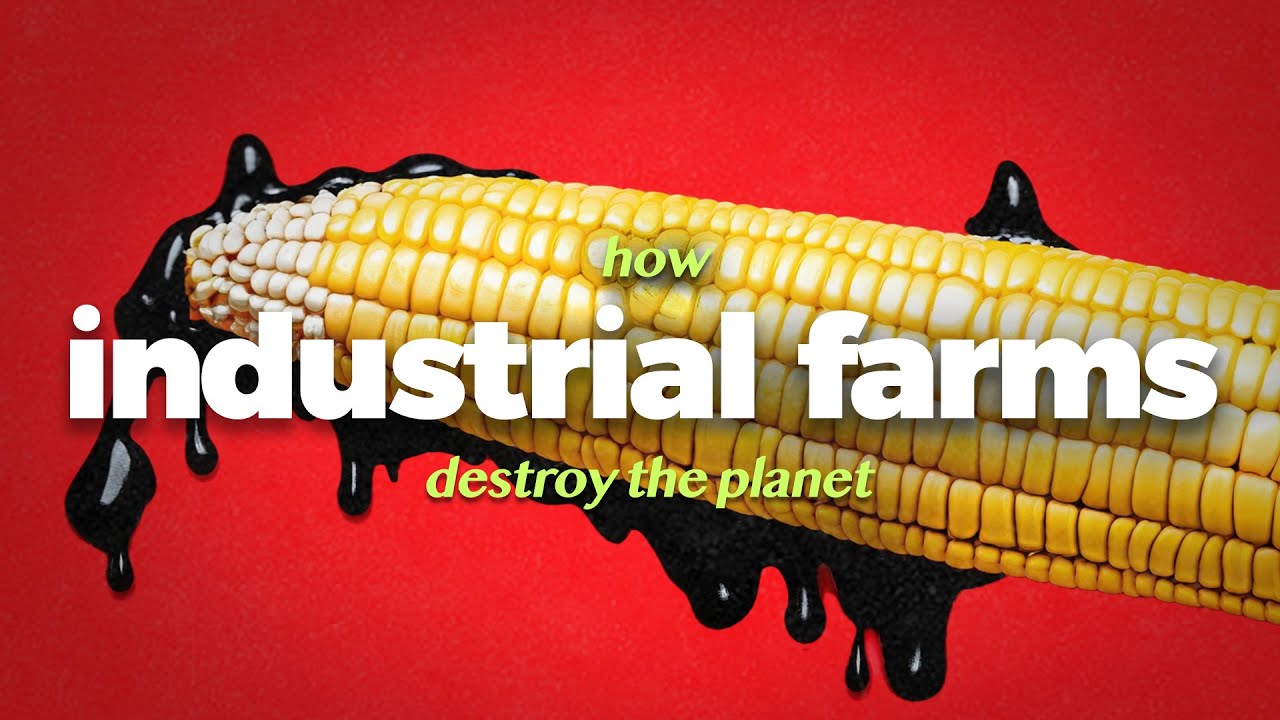 Our Food is Killing Us - YouTube