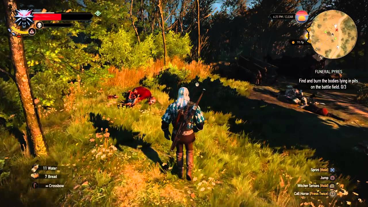 The Witcher 3: freeroam Monster Nest - YouTube