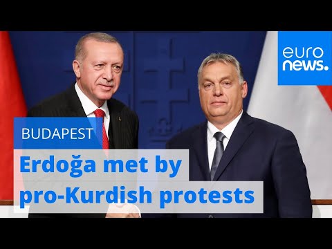 Turkey's Erdoğan booed by crowd in Budapest over Syria military incursion