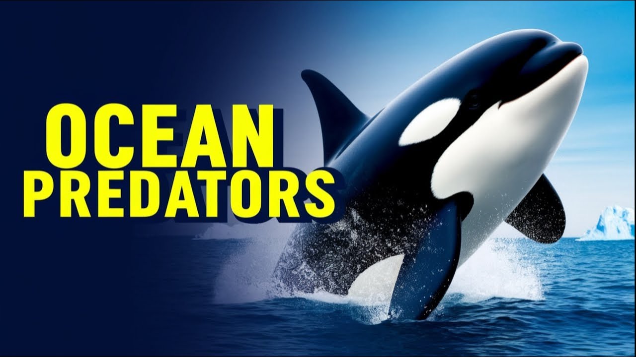 Discovering The Ocean's Top Five MOST DANGEROUS Hunters - YouTube