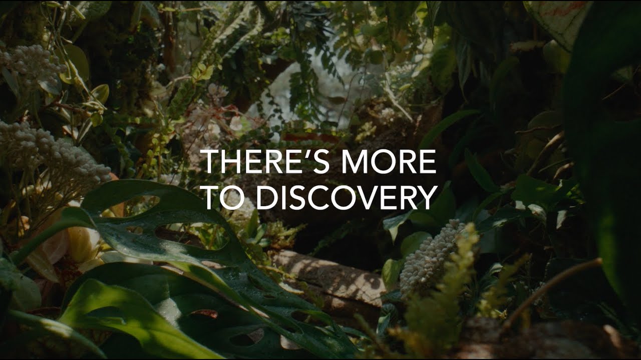 There's More to Discovery | Banyan Group - YouTube