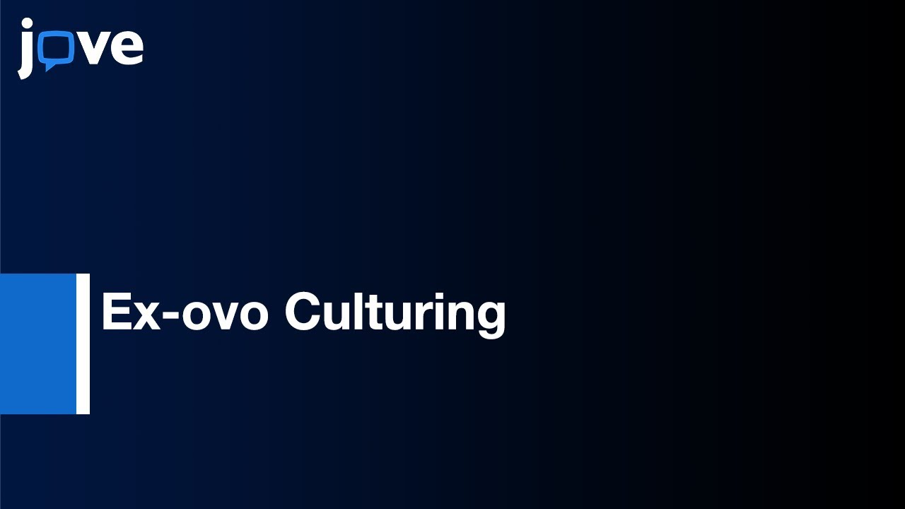 Ex-ovo Culturing of Embryos to Advanced Stages of Development ...