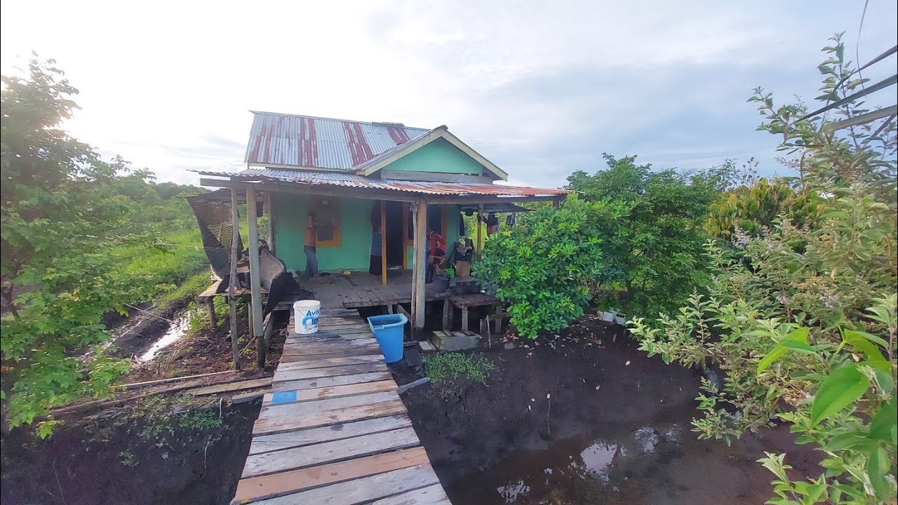 NIKMATNYA SAYUR BUAH MARKISA - SUASANA PAGI DI PEMUKIMAN TRANSMIGRASI ...