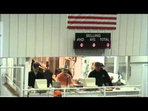 Al Wessel 2000 GMLAC Champion.wmv - YouTube