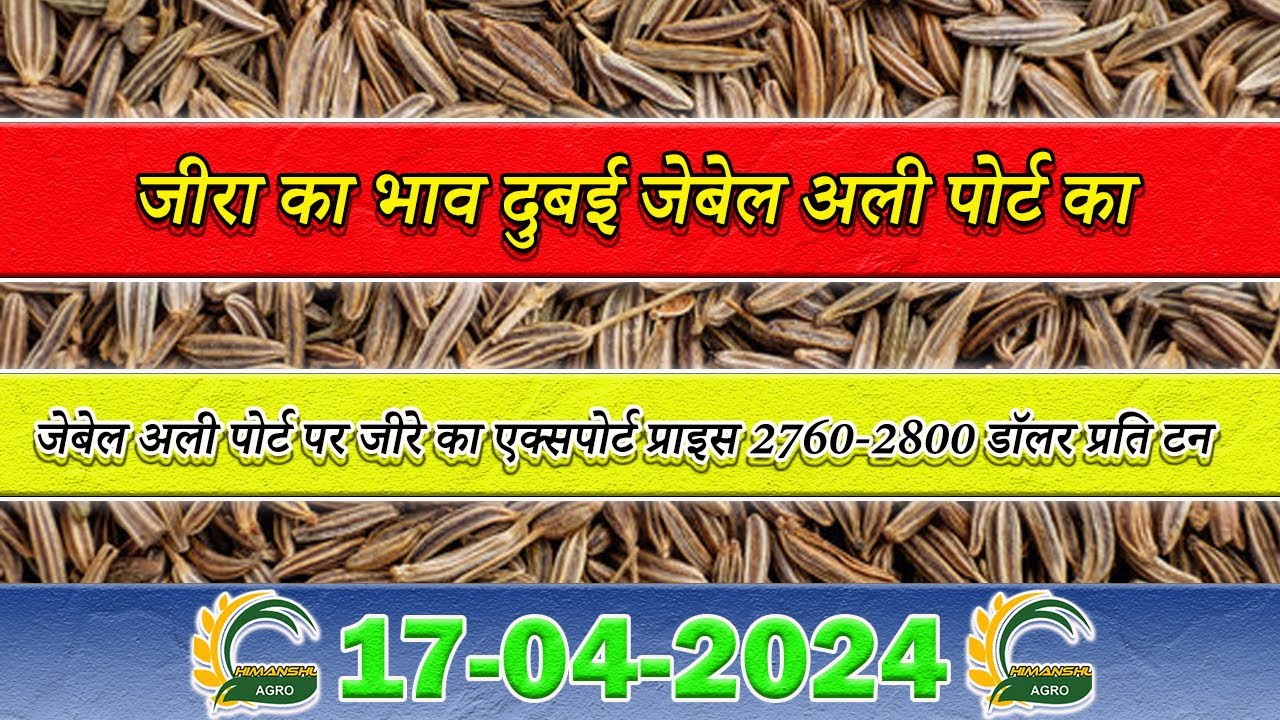 jeera price in dubai | jeera price in jebel ali port - YouTube