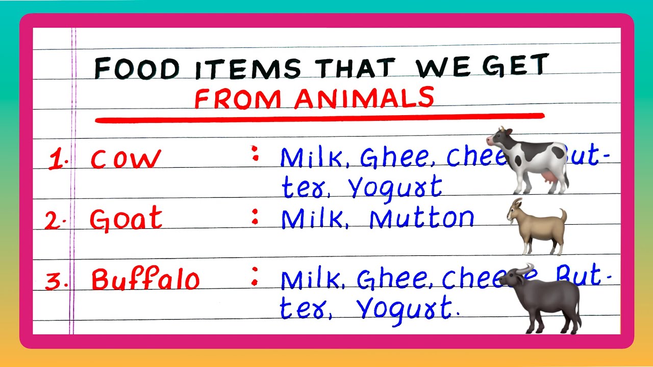 10 Food items that we get from Animals - YouTube