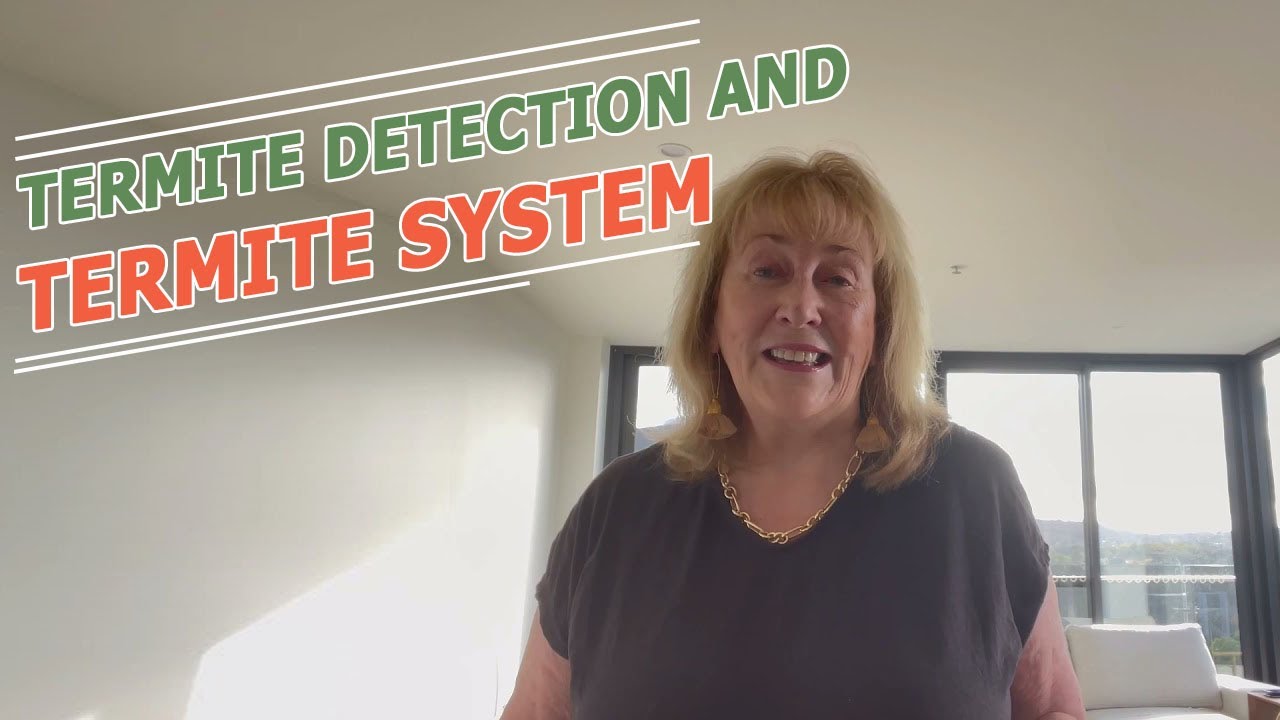 A1 Pest Control Canberra For Termite Detection And Termite System ...