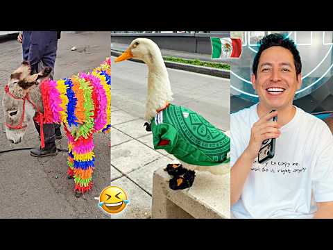 🚨 VIRAL MEXICAN HUMOR 😂 (TRY NOT TO LAUGH CHALLENGE) | The DNA of “Mexicans at the 2026 World Cup”
