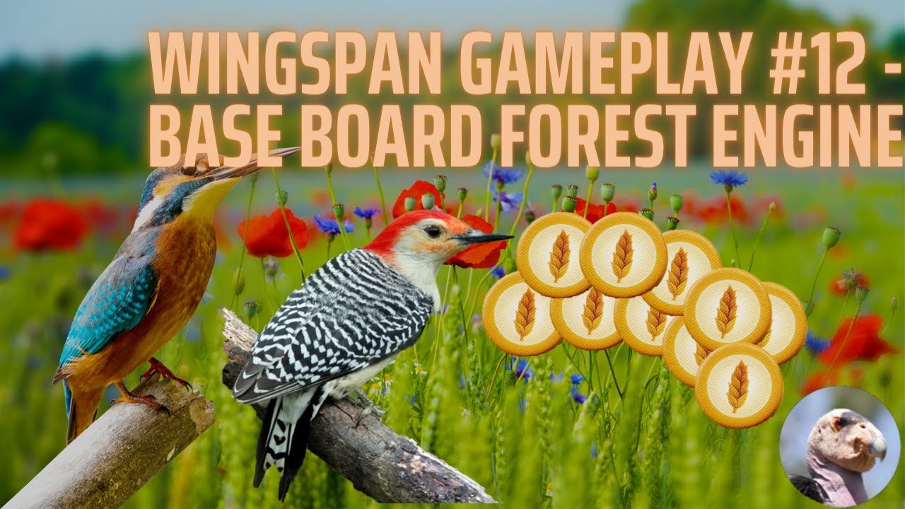Wingspan Gameplay #12 - A Base Board Forest Engine - YouTube