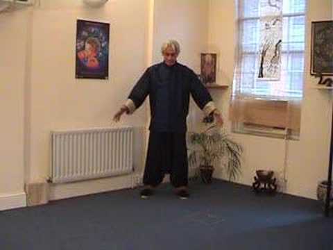 Cosmic Chi Kung - Hands of Light