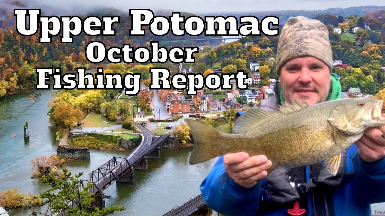Upper Potomac River October Fishing Report with Shallow Water Fishing ...