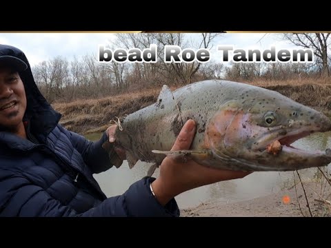 Roe Beads Tandem For Early Spring Steelhead #fishingvideo - YouTube
