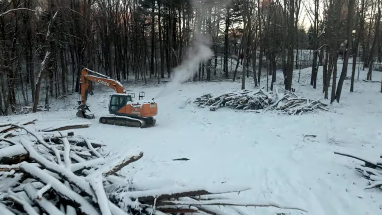 Clearing Trees with an Excavator // Hamburg Day 4 - YouTube