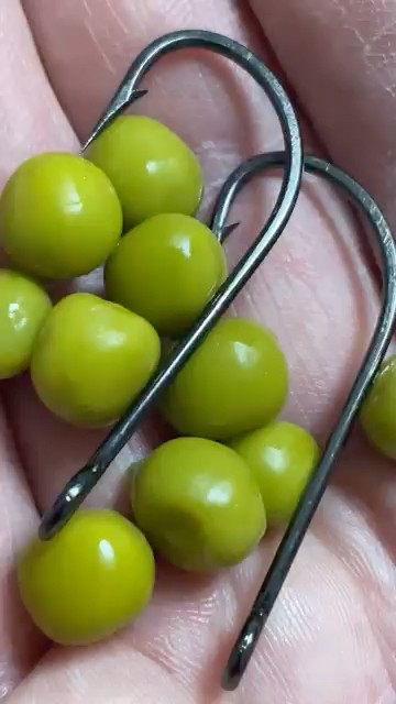 🤫🎣🔥🚀SECRET Pea Bait Techniques for Carp, Crucian Carp, and Silver Carp ...