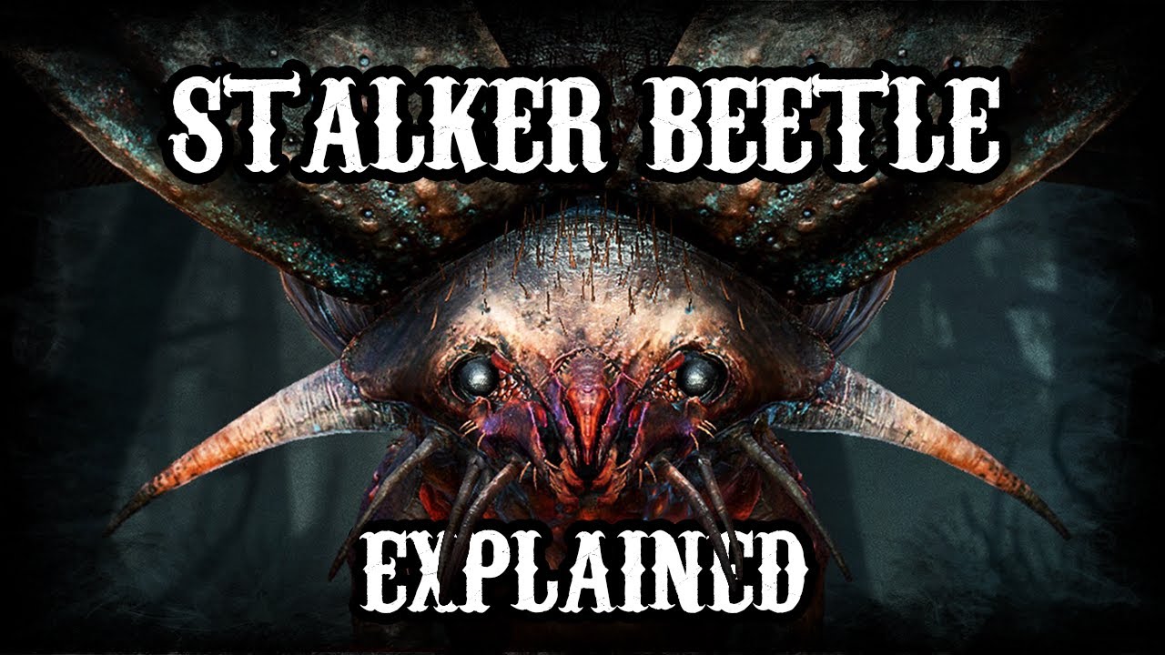 Stalker Beetle / Foulbrood Explained | Hunt: Showdown Lore - YouTube