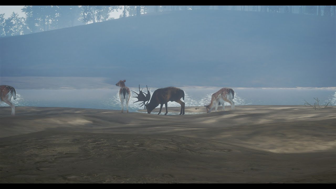 Finally a Great One Fallow Deer after over 3500 kills! Fabled Mocha ...