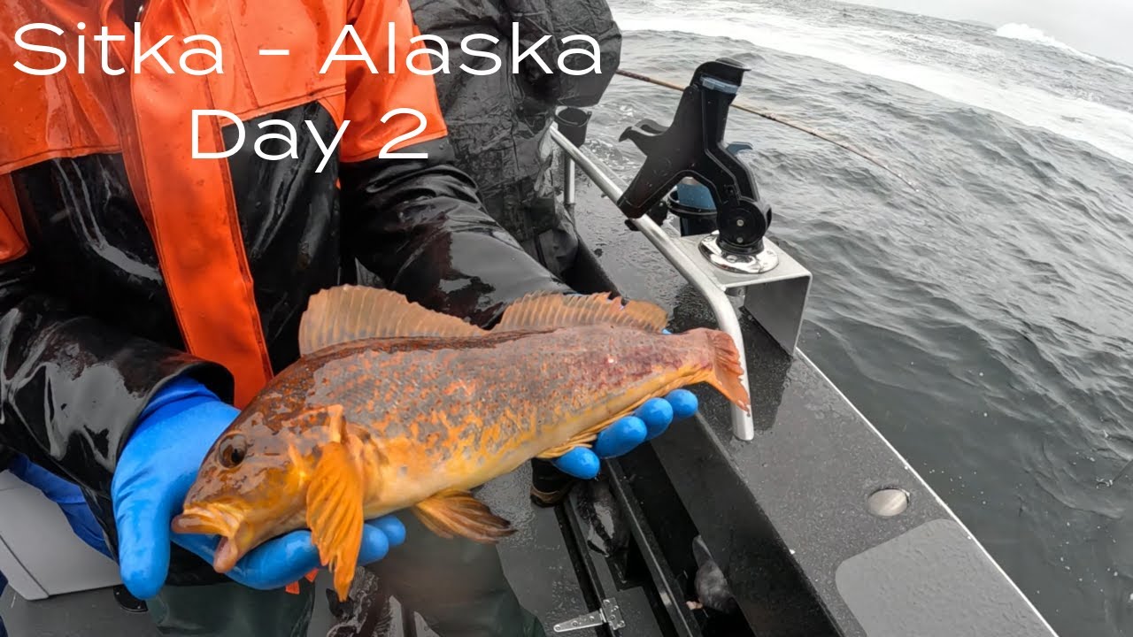 SITKA ALASKA DAY-2 HALIBUT And ROCKFISHING - YouTube