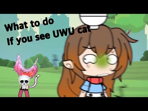 How to get rid of a UWU cat.. - YouTube