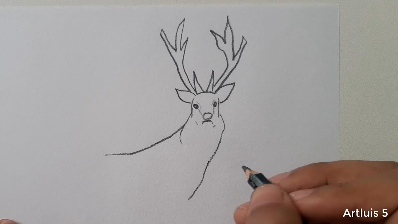 ¿Cómo dibujar la cara de un VENADO? | How to draw a DEER's face? - YouTube
