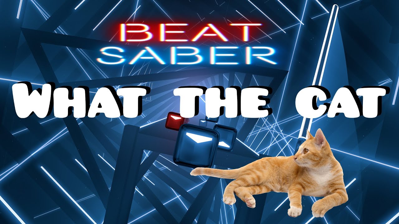 What the cat!? - YouTube